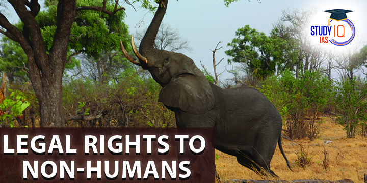 Legal Rights to Non-Humans