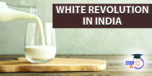 White Revolution in India History, Objectives of Operation Flood