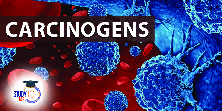 What are Carcinogens