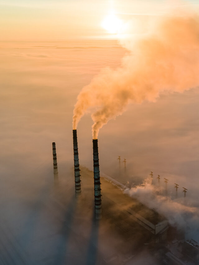 Carbon Border Tax News