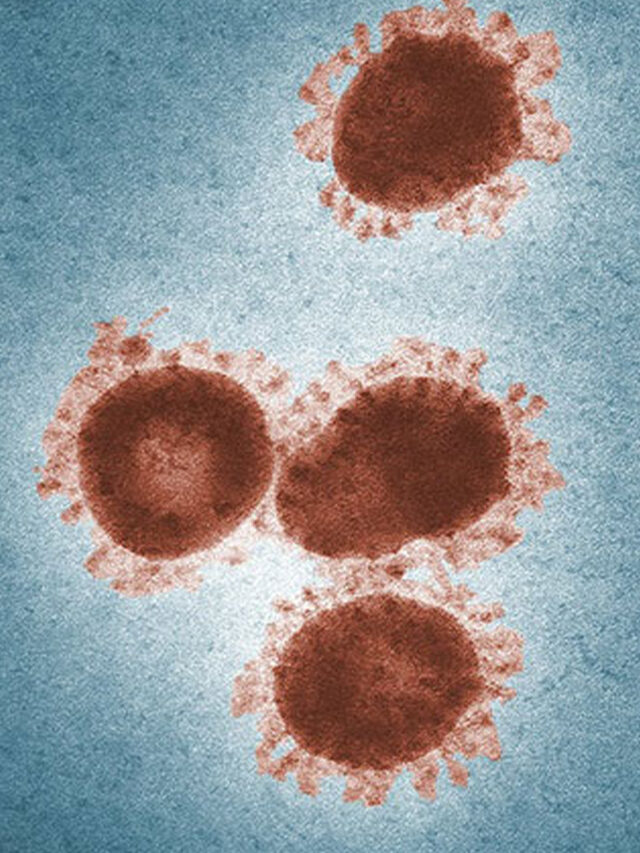 Zombie Virus Latest News