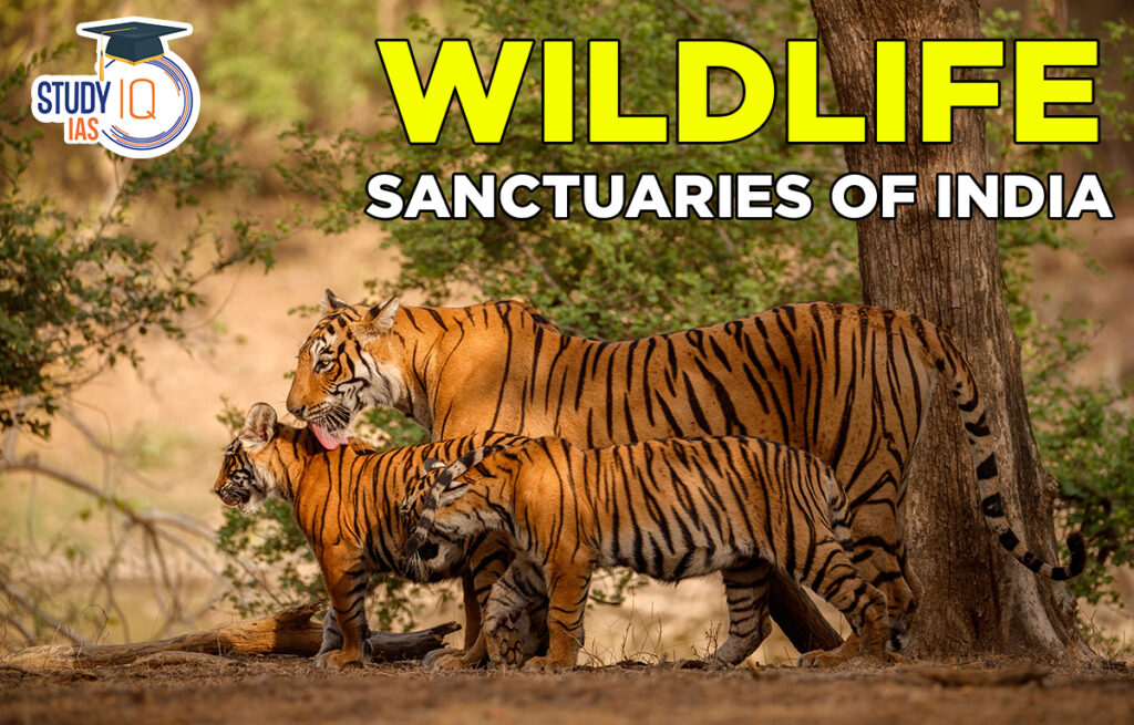 Wildlife Sanctuaries of India, Map, List, Importance, Names