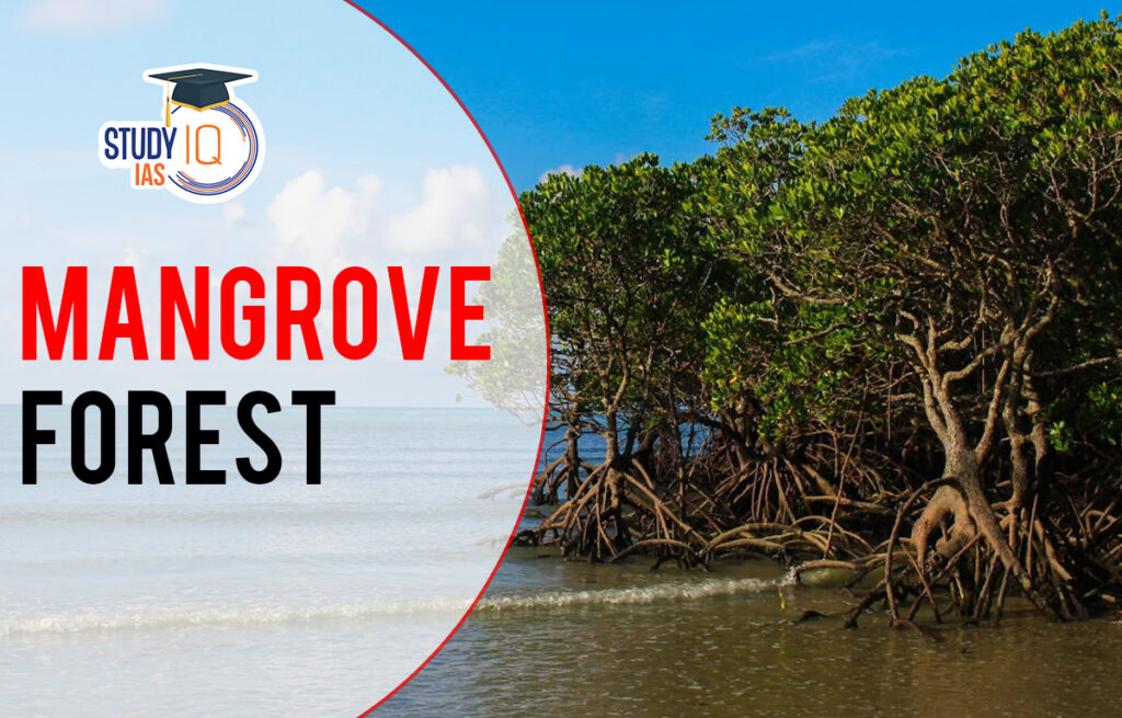 Mangrove Forests in India, Map, Characteristics, Significance, Threat