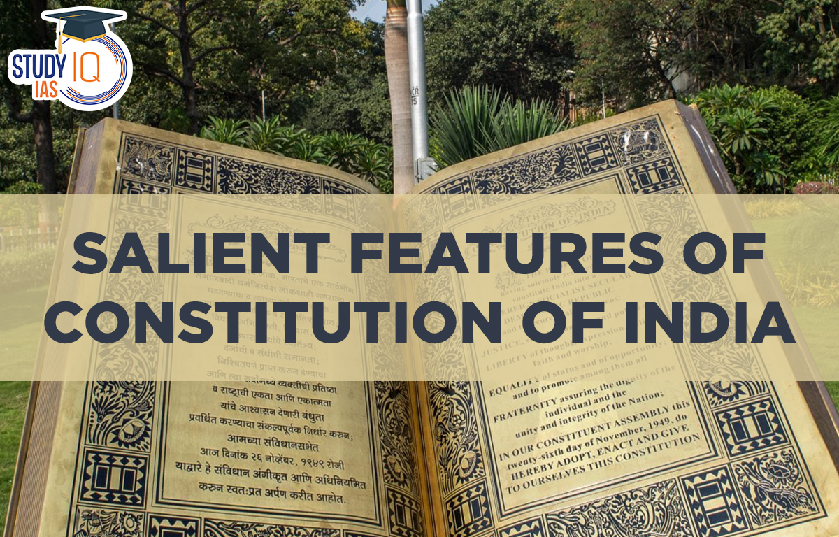 Salient Features Of Constitution Of India List