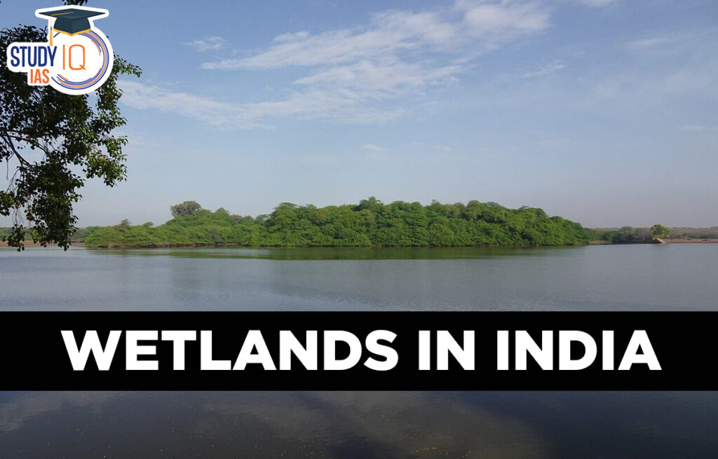 Wetlands in India List, Map, Types, Importance and Threats