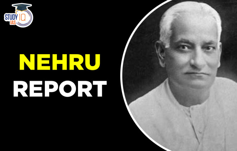 Nehru Report 1928, History, Members, Outcomes, Recommendations