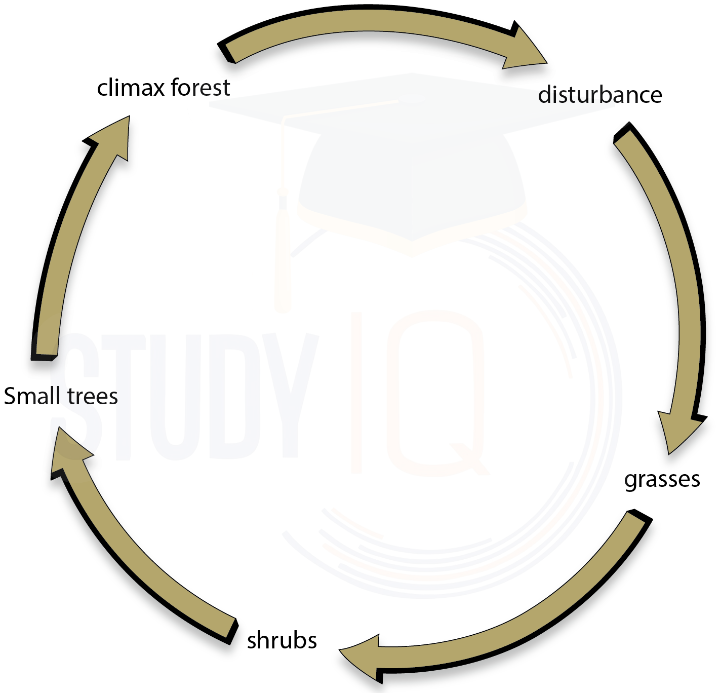 Ecological Succession Definition, Types, Stages, Diagram