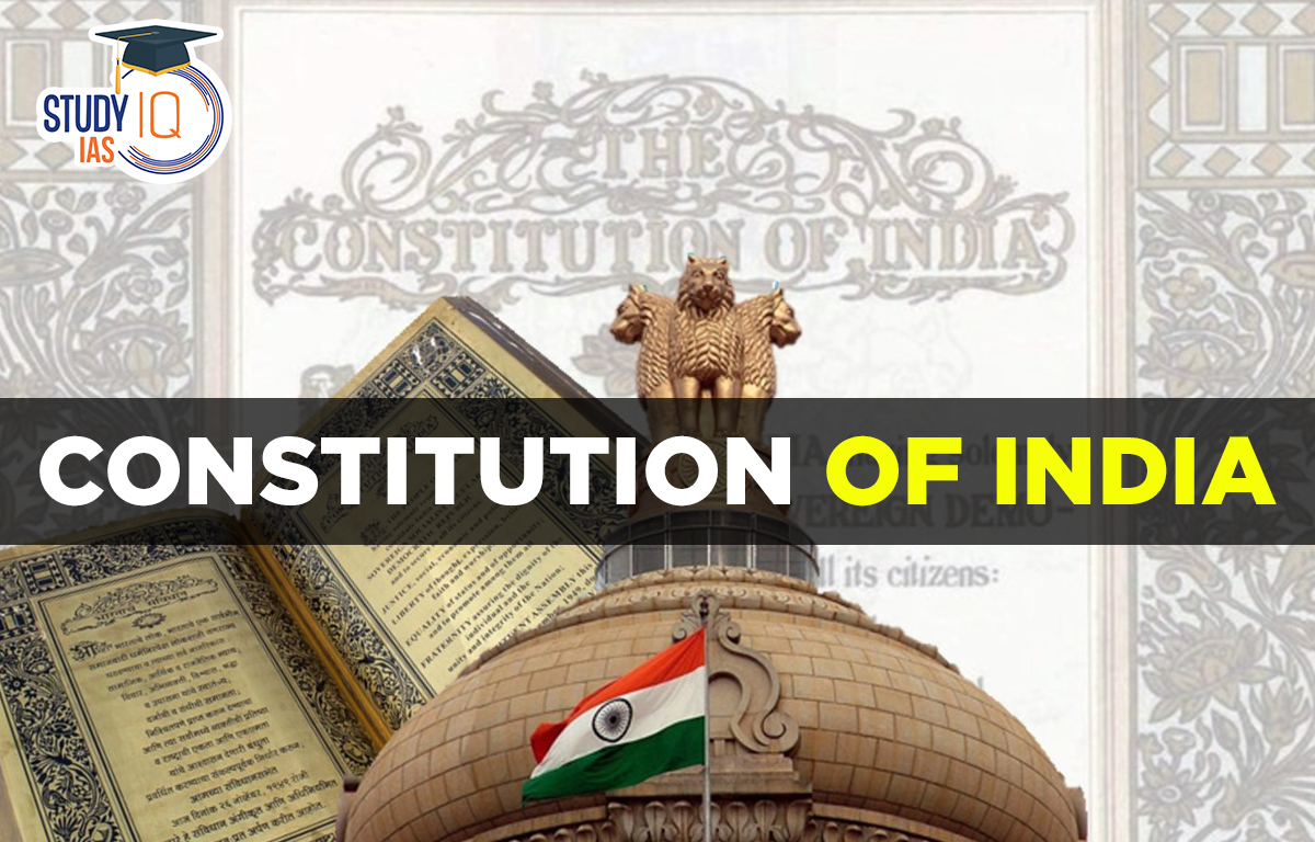 Constitutional Law Book Class 11 USA Sale Www independentndt co nz