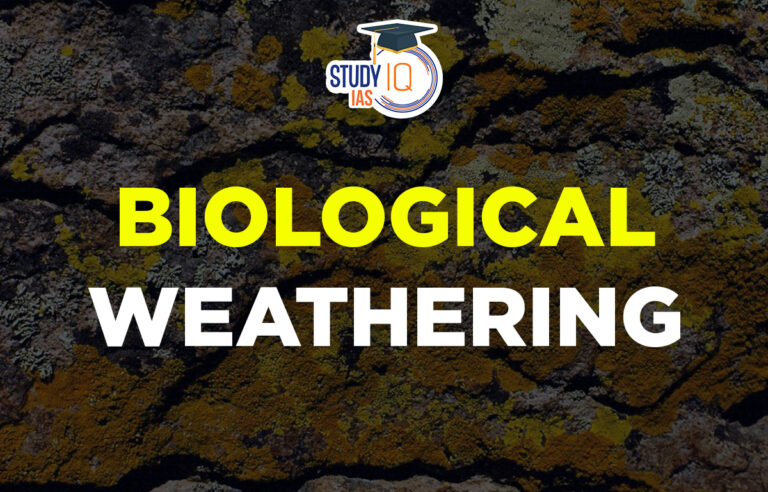 Biological Weathering Definition, Examples, Types, Causes, Agents