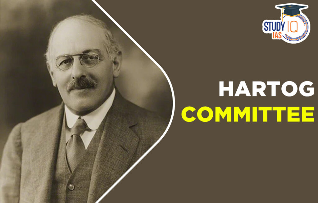 Hartog Committee, Formation, Secondary, Primary & Higher Education, Report