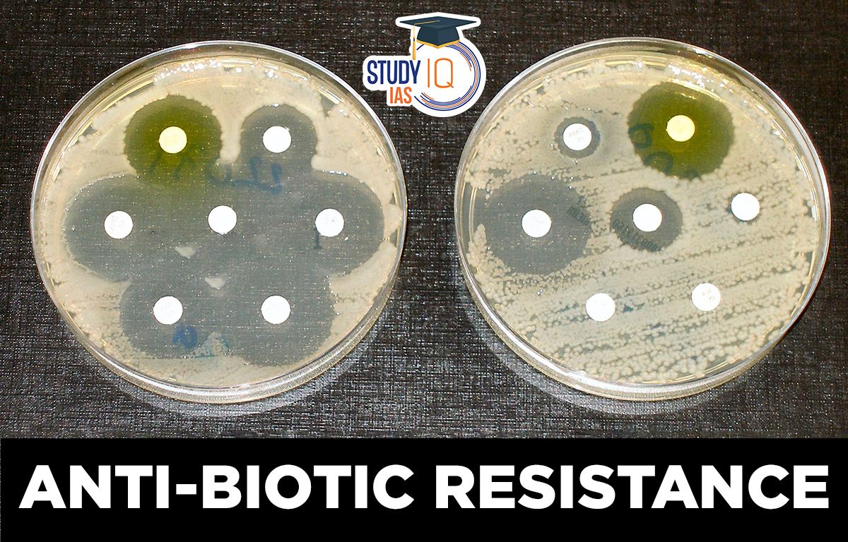 Anti-Biotic Resistance