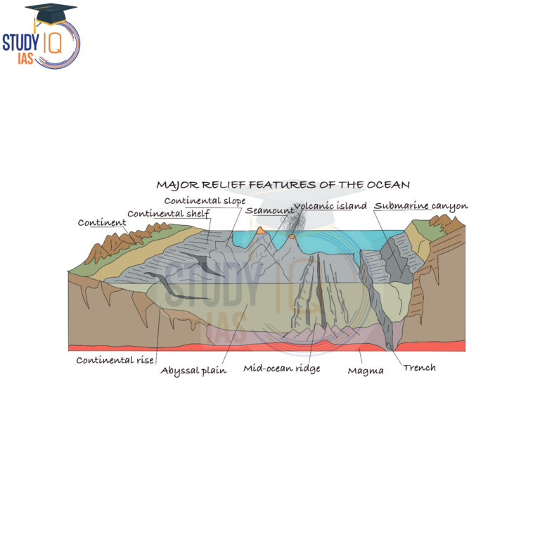 Submarine Canyons, Meaning, Formation & Examples