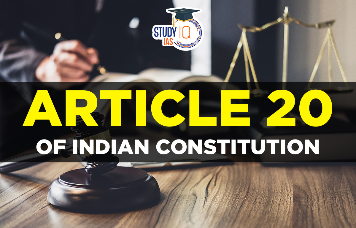 Article 20 of Indian Constitution, Articles, Provisions