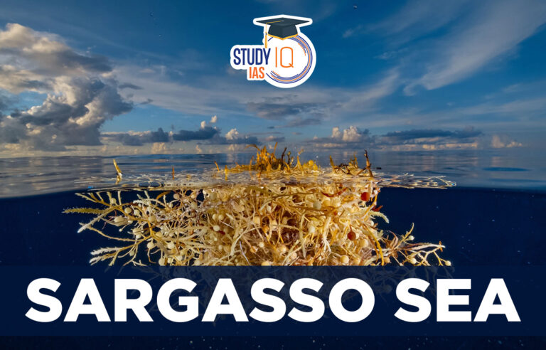 Sargasso Sea, Map, Location, Geography, Boundaries