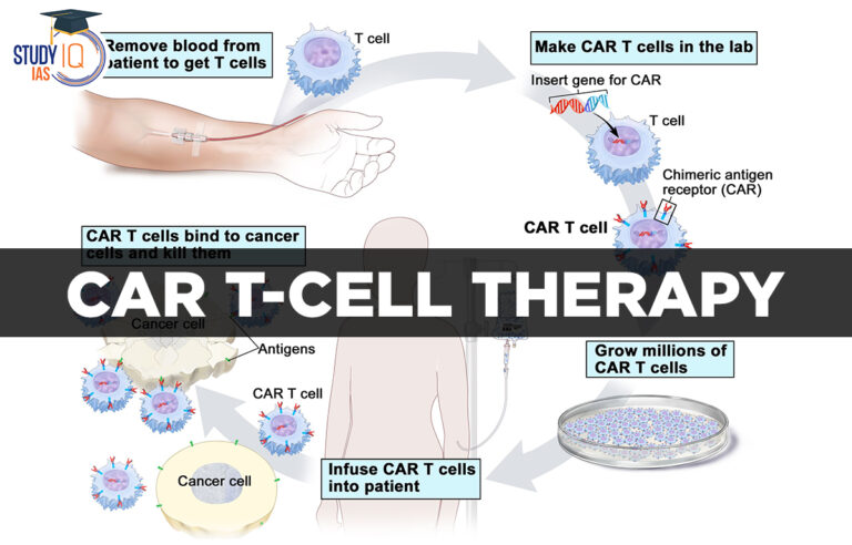 CAR T-Cell Therapy
