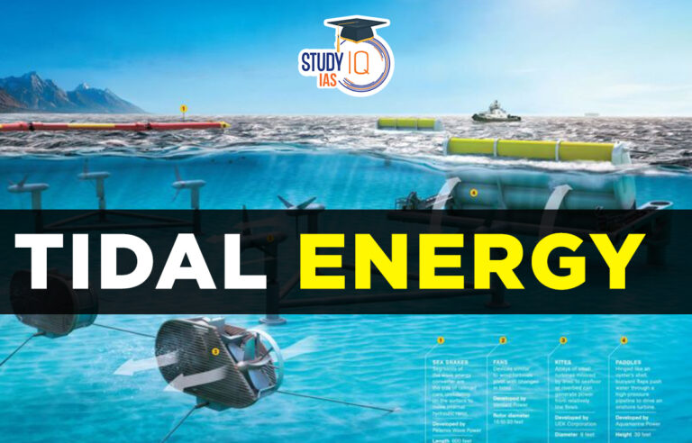 Tidal Energy in India, Diagram, Advantages and Disadvantages