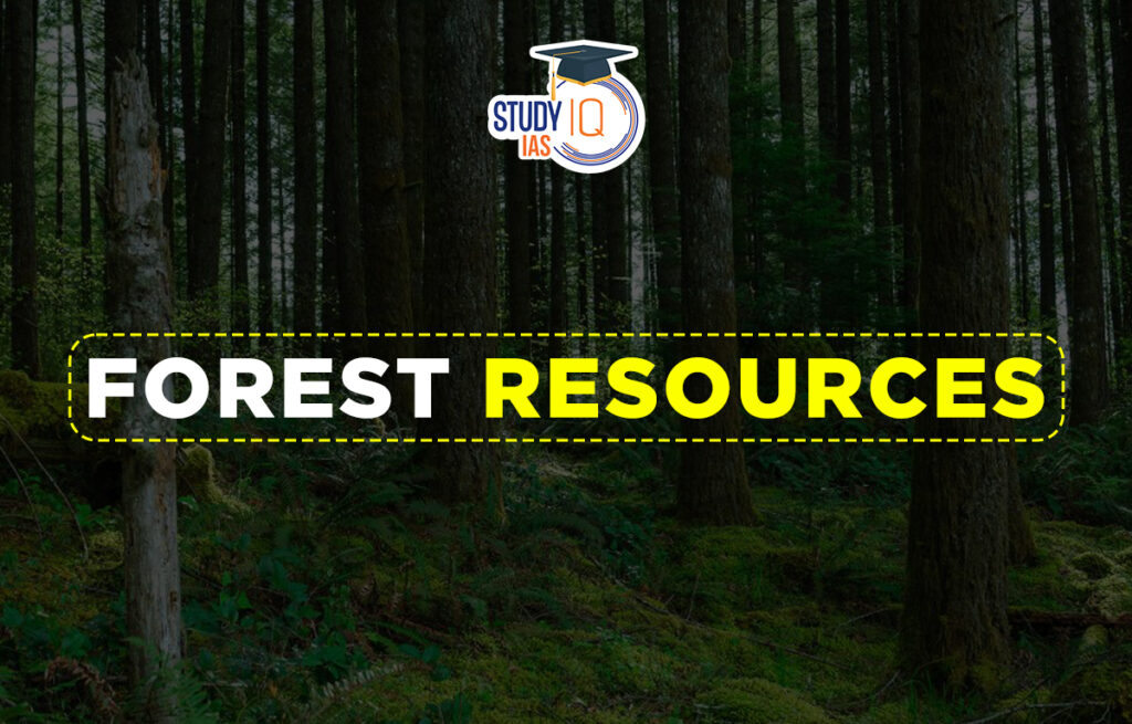 Forest Resources in India, Types, Significance, Uses
