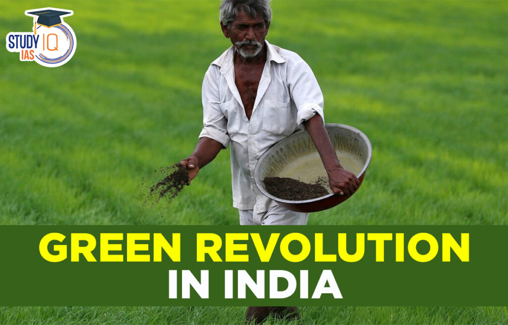 Green Revolution in India Advantages, Impacts & Achievements