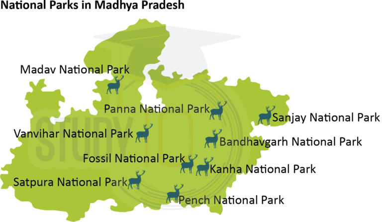 National Parks in Madhya Pradesh List 2023, Name, Map, Features