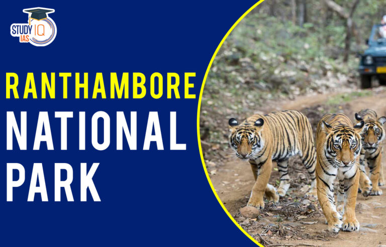 Ranthambore National Park, History, Feature, Biodiversity and Wildlife