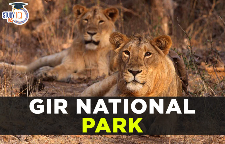 Gir National Park, History, Feature, Location, Biodiversity and Facts