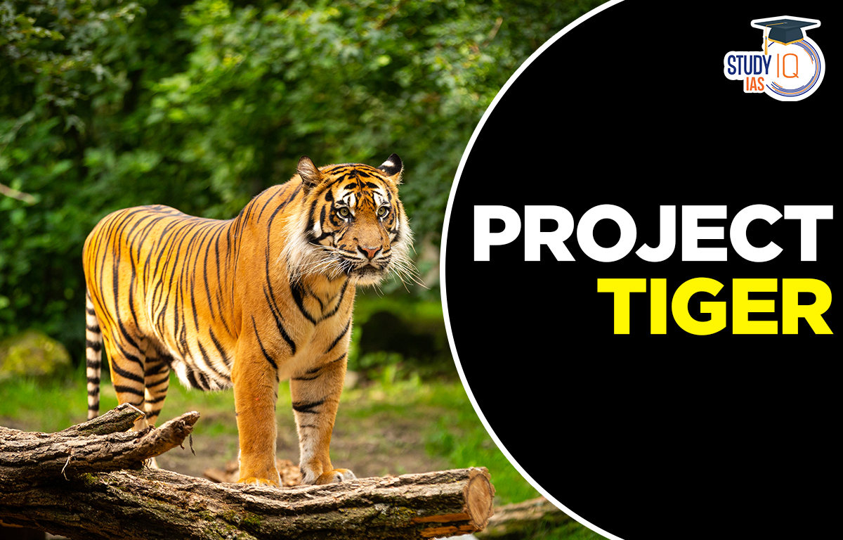 Project Tiger Project Tiger