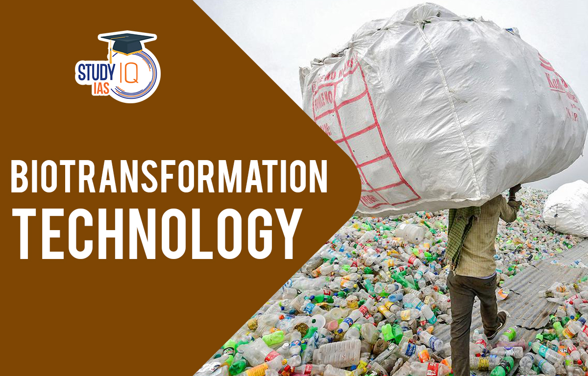 Biotransformation Technology