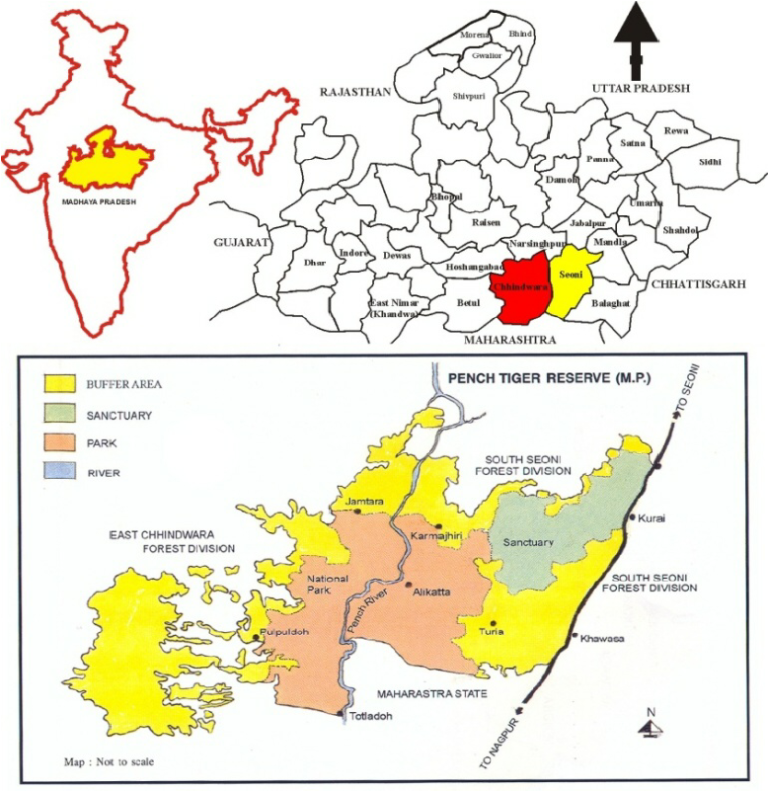 Pench Tiger Reserve, Map, Flora, Fauna, Significance