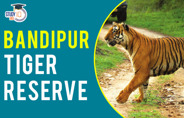 Bandipur Tiger Reserve Map, Flora, Fauna, Significance