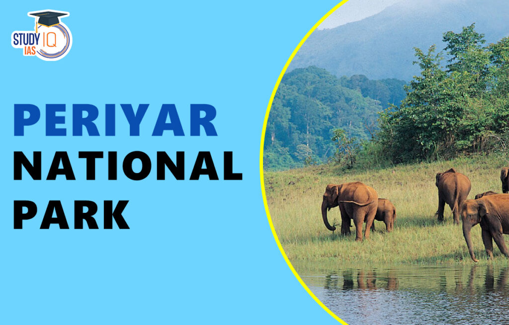 Periyar National Park, Features, Vegetation, Flora & Fauna