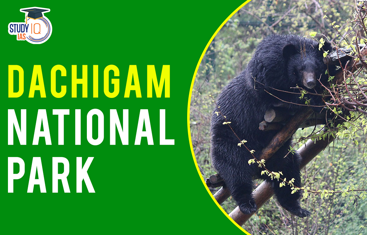 Dachigam National Park, History, Feature, Flora and Fauna