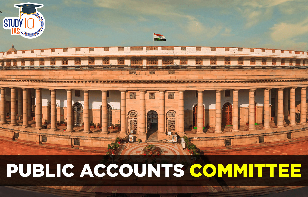 Public Account Committee History Member Chairman Function Public Account Committee History Member Chairman Function