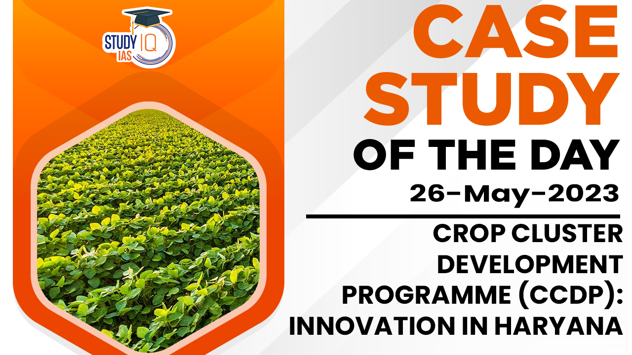 Crop Cluster Development Programme (CCDP) - Innovation in Haryana