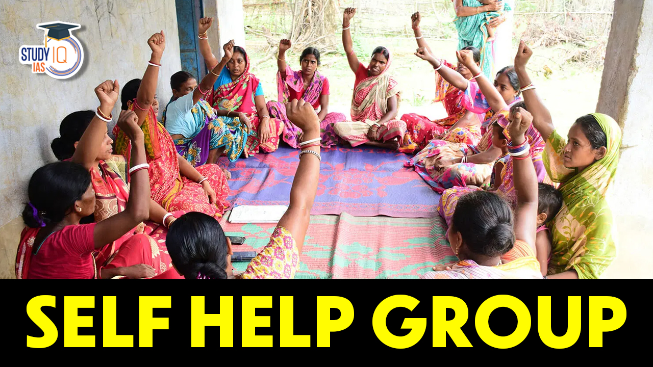 Self Help Group, Objective, Function, Importance & Challenges