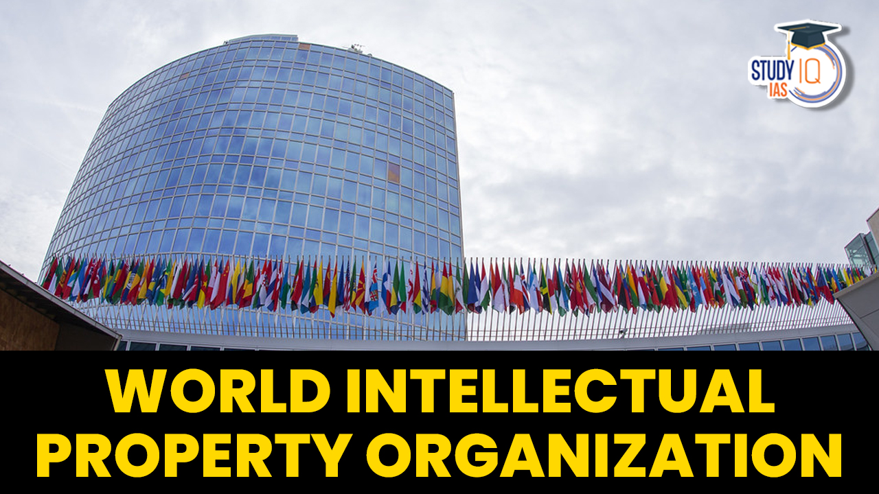 World Intellectual Property Organization, History, Functions and Limitation
