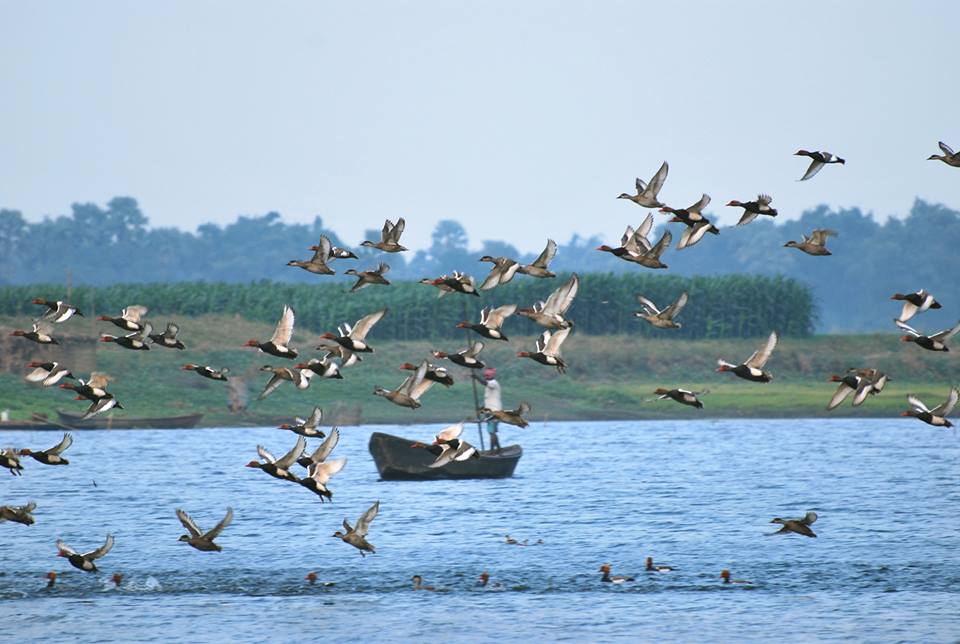 Lakes of Bihar, Detailed List of Lakes of Bihar