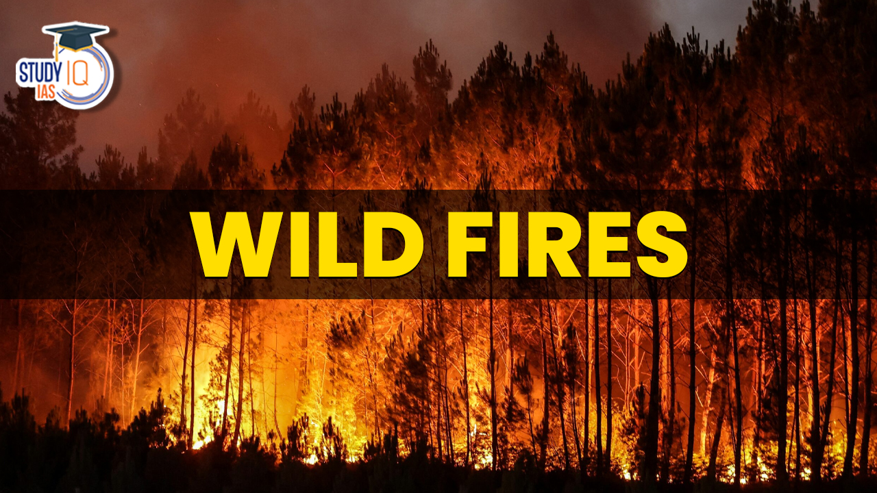 Wild Fires