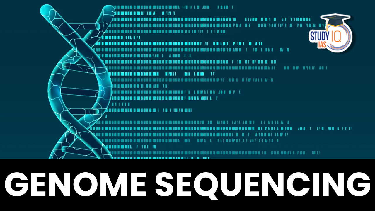 What is Genome Sequencing