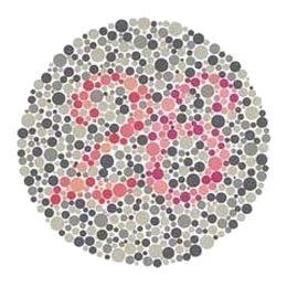 Ishihara Test: Army Colour Blindness Test