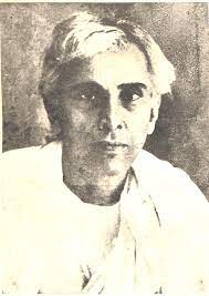 Devdas Book is Written By