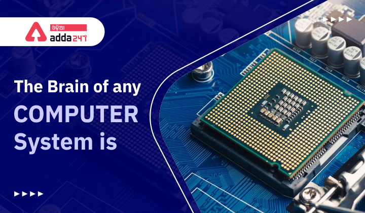 What is the Brain of a Computer?