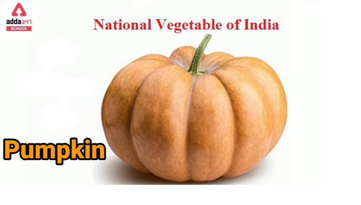 National Vegetable of India- Pumpkin