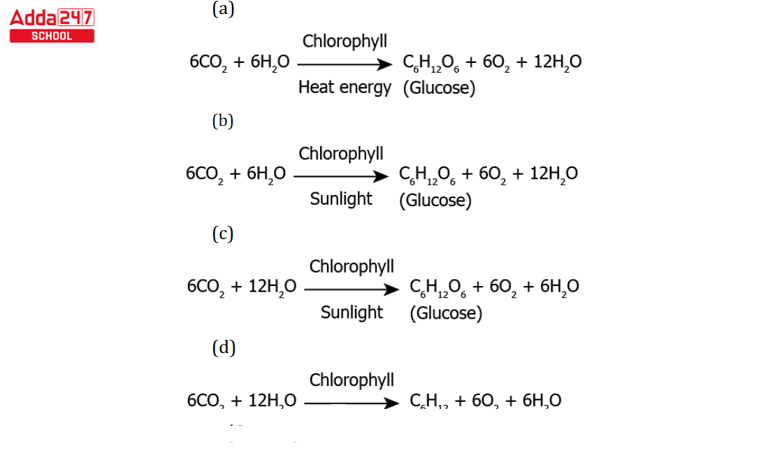 CBSE Class 10 Science Important MCQ Questions with Answers