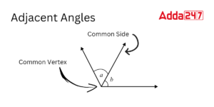 Adjacent Angles -Definition, Meaning, & Examples
