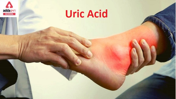 Uric Acid: Normal Range, Medicine, Control, Treatment