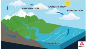 Water Cycle Diagram for Kids of Class 3 with Explanation