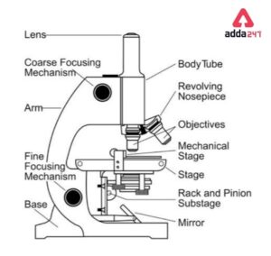 Simple Microscope Diagram, Formula, Definition, Discoverd by