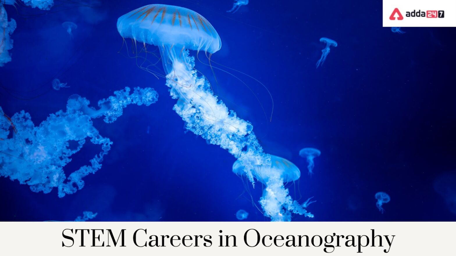 STEM Careers in Oceanography