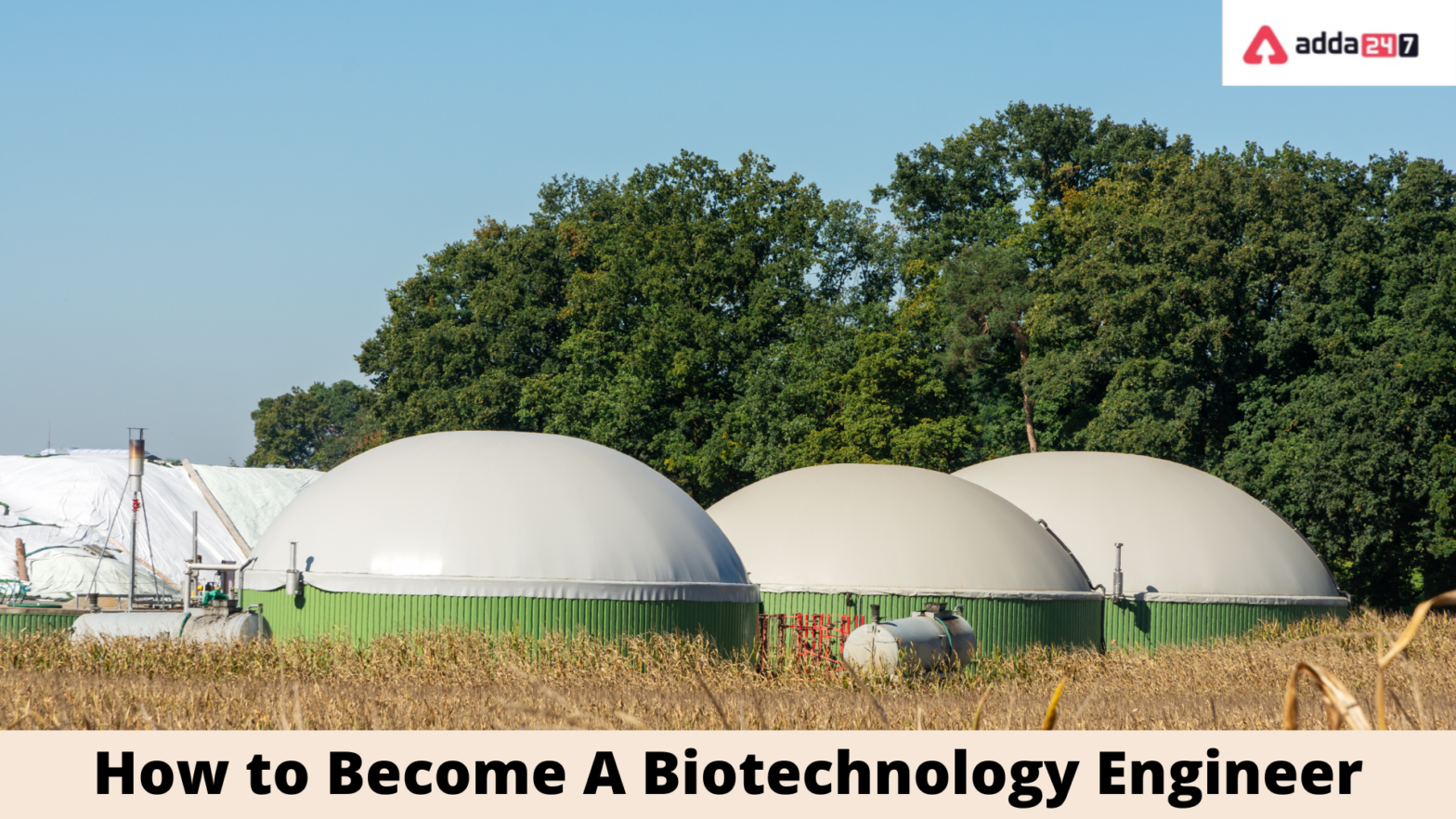 Biotechnology Engineering: Salary, Eligibility, Colleges, Jobs, Fees