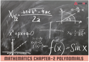 Polynomial- Definition, Formula, Types, Function, Degree, Example
